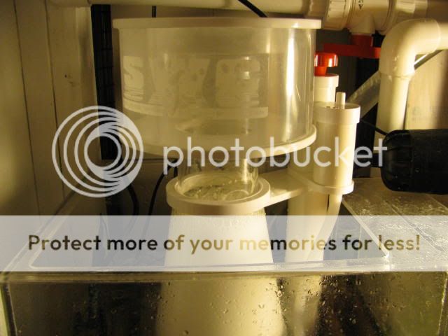 My New SWC Extreme 180 Cone Skimmer