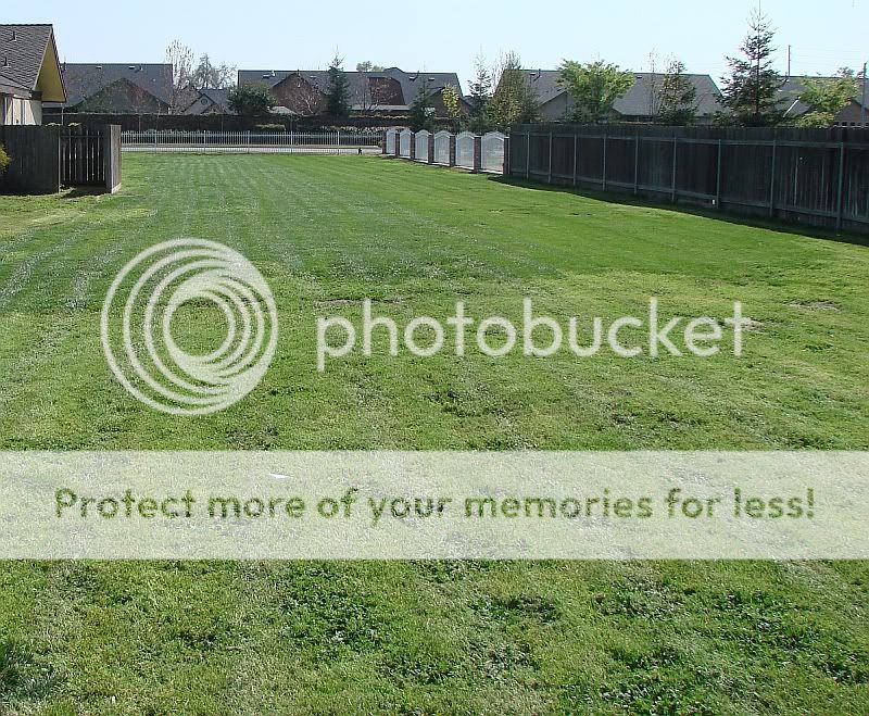 Best bet to flatten existing lawn? | Lawn Care Forum